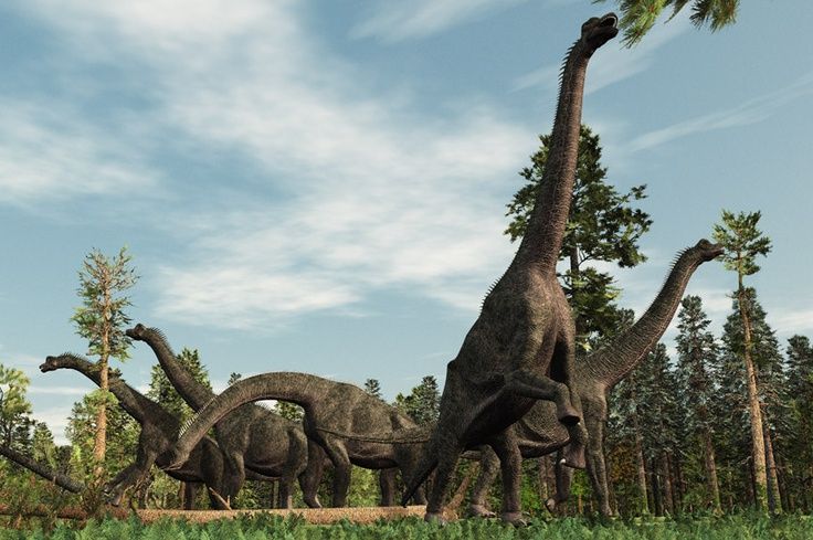 Top 8 Thông tin thú vị nhất về loài khủng long cổ dài - Top Chuẩn