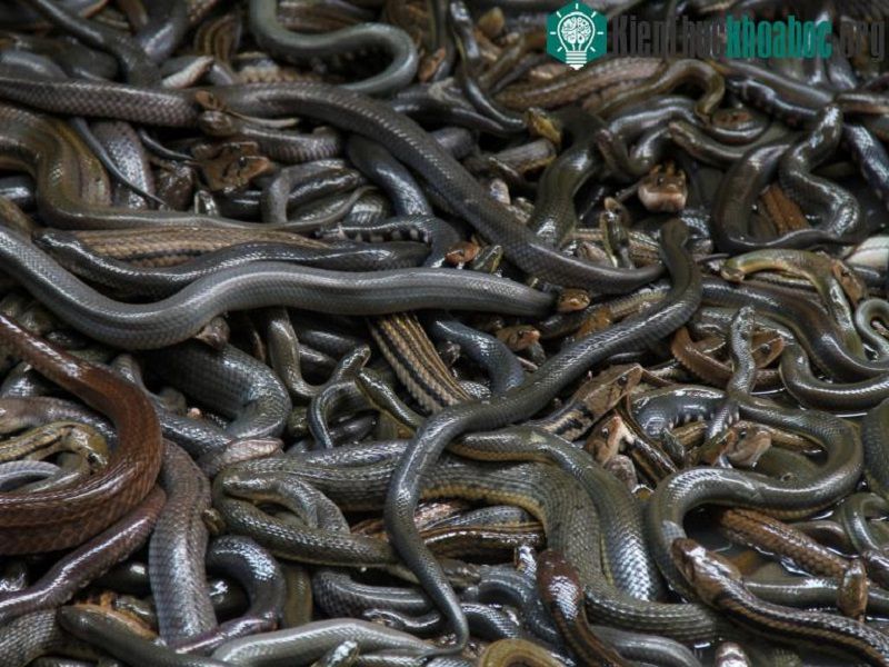 Top 8 Địa danh biệt lập và bí ẩn với thế giới bên ngoài - Top Chuẩn