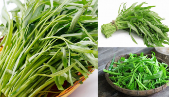 Top 7 Lợi ích của rau muống đối với sức khỏe mà bạn nên biết - Top Chuẩn
